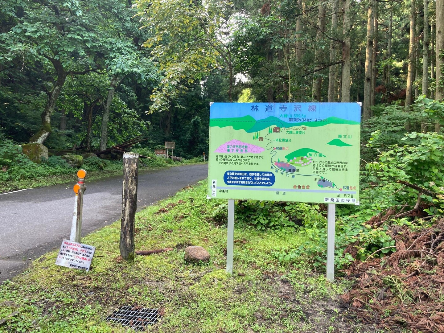 願文山・大峰山・法印峰・櫛形山 / mini98Dさんの櫛形山・鳥坂山・大峰山（櫛形山脈）の活動データ | YAMAP / ヤマップ