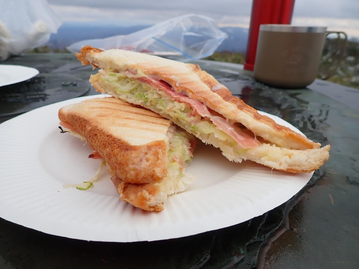 雪あるじゃん😨大日ヶ岳 / みのっちさんの大日ヶ岳・毘沙門岳の活動データ | YAMAP / ヤマップ