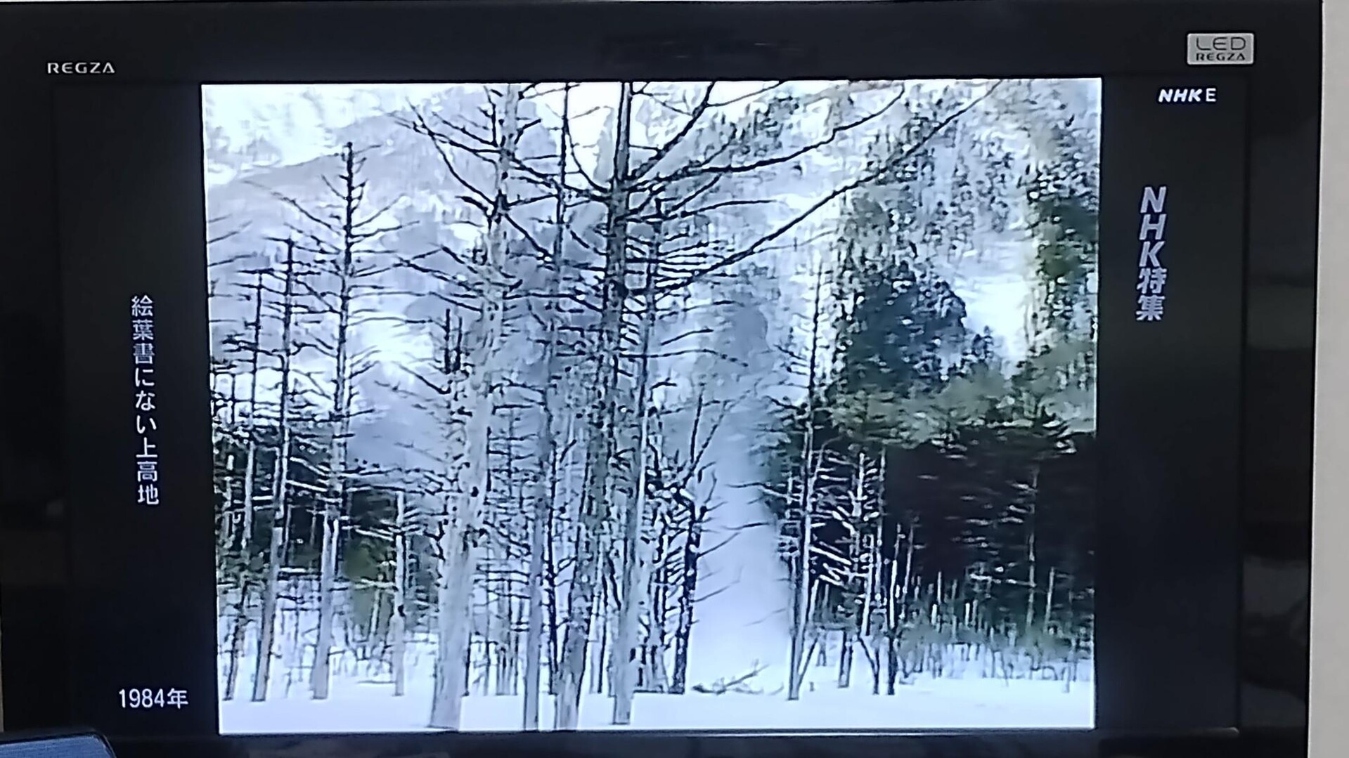 深夜1時に昔のNHK特集放送されてます。... / issuiさんのモーメント | YAMAP / ヤマップ