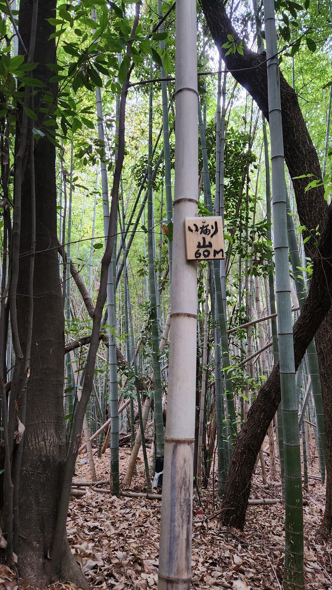 いなり山 / gyamiさんの北摂里山トレイル（伊丹市・宝塚市・川西市・猪名川町エリア）の活動データ | YAMAP / ヤマップ