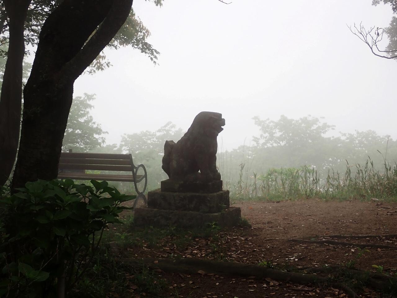 雲附山 / kazashiさんの雲附山・熊高山・五瀬山の活動データ | YAMAP / ヤマップ