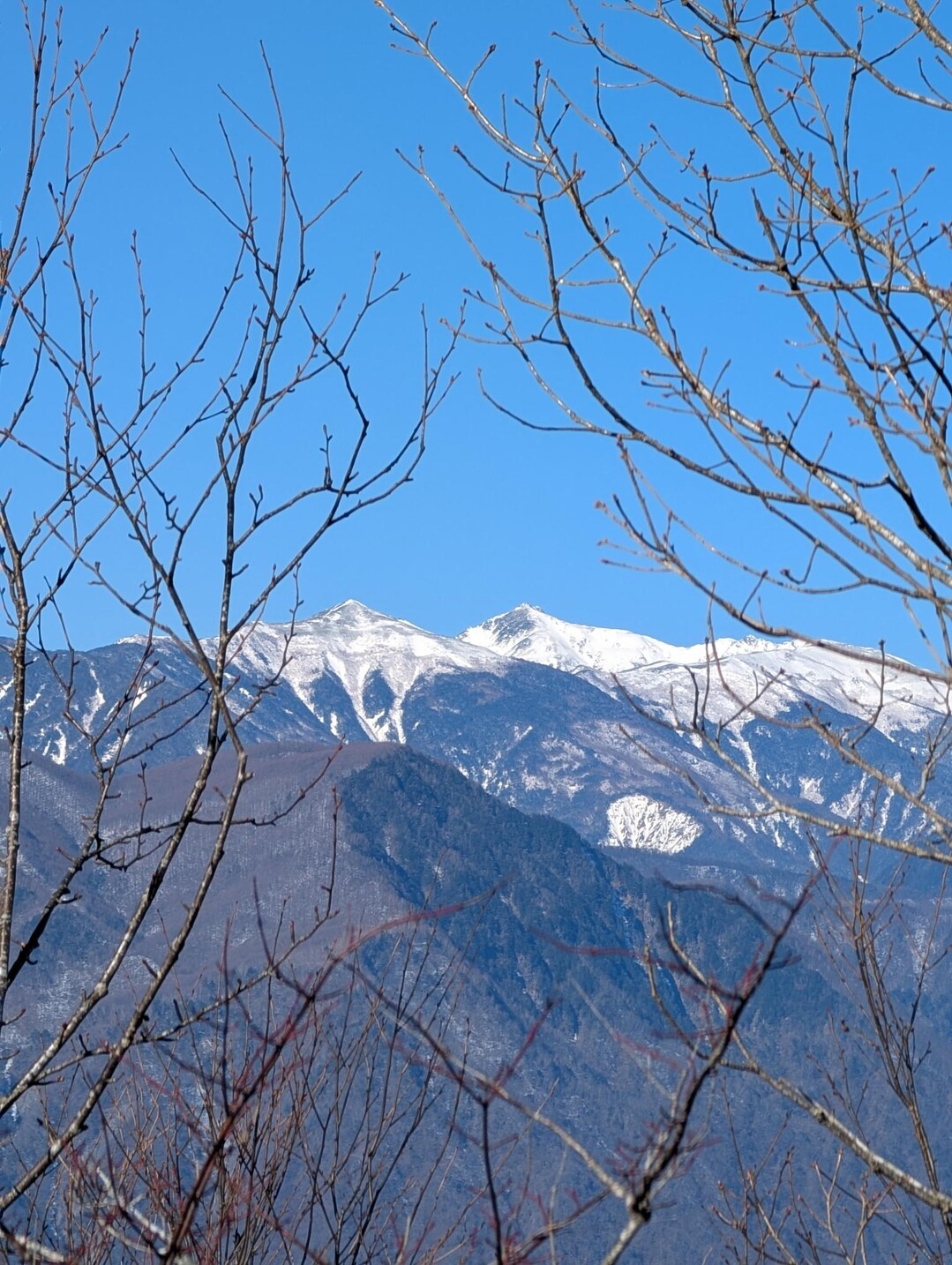 富士見山・御殿山 / zakuさんの富士見山・御殿山の活動データ | YAMAP / ヤマップ
