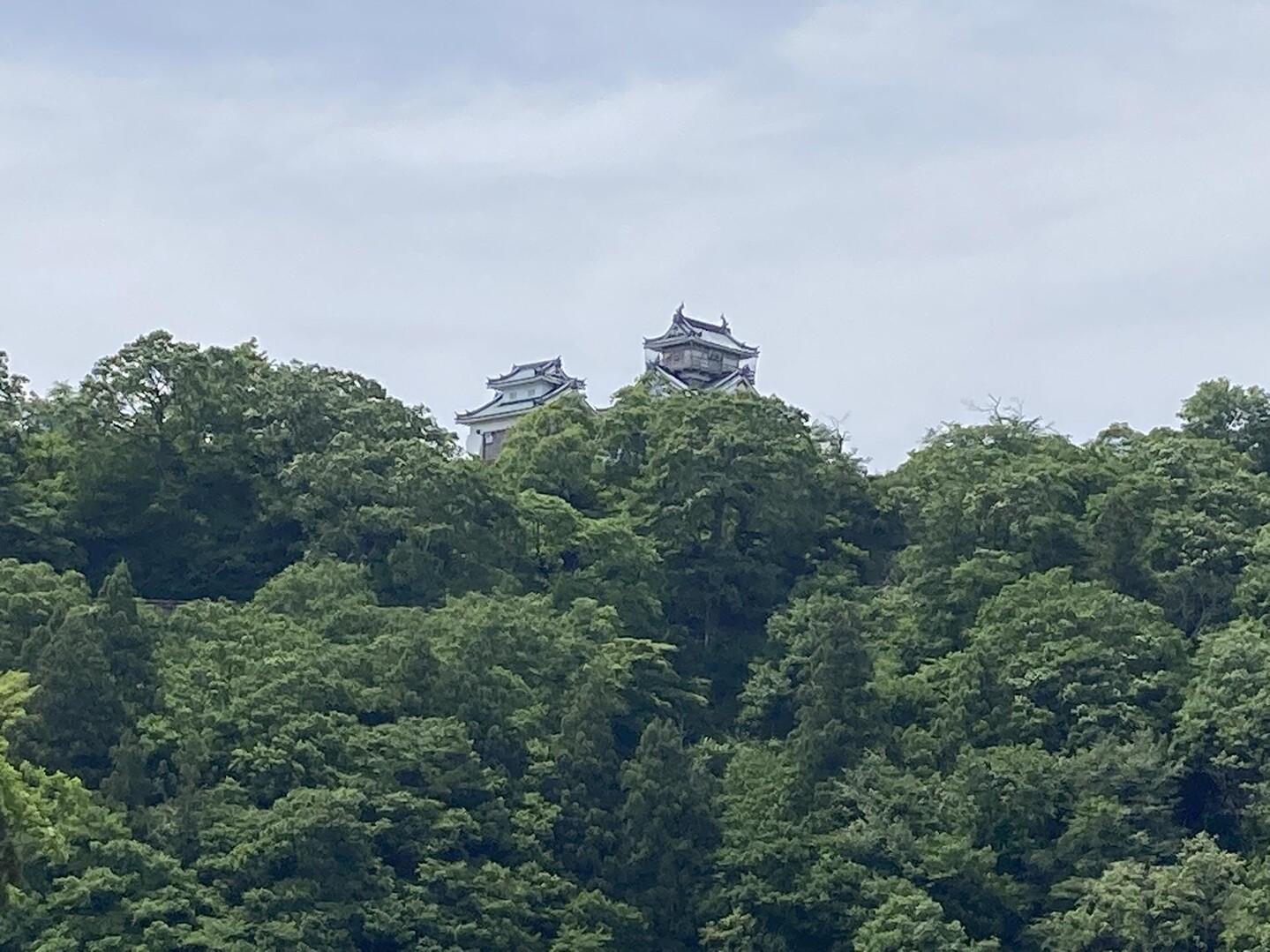 ランの後のお散歩 大野城 / assiさんのウォーキングの活動データ | YAMAP / ヤマップ