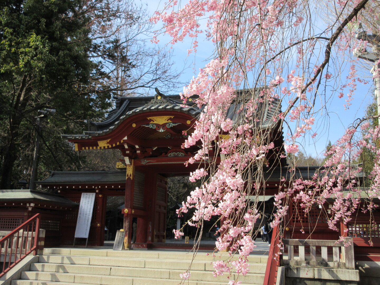 秩父鉄道 SLパレオエクスプレス（SL転車台公園～清雲寺 しだれ桜～秩父神社） / djebelさんのウォーキングの活動データ | YAMAP / ヤマップ