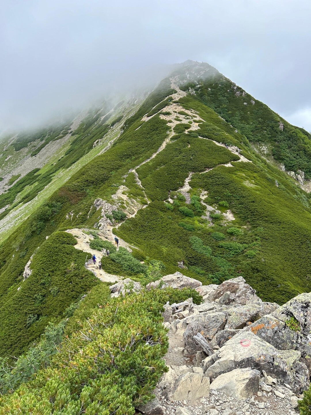 小仙丈ヶ岳・仙丈ヶ岳 / kazunさんの仙丈ヶ岳・伊那荒倉岳の活動データ | YAMAP / ヤマップ