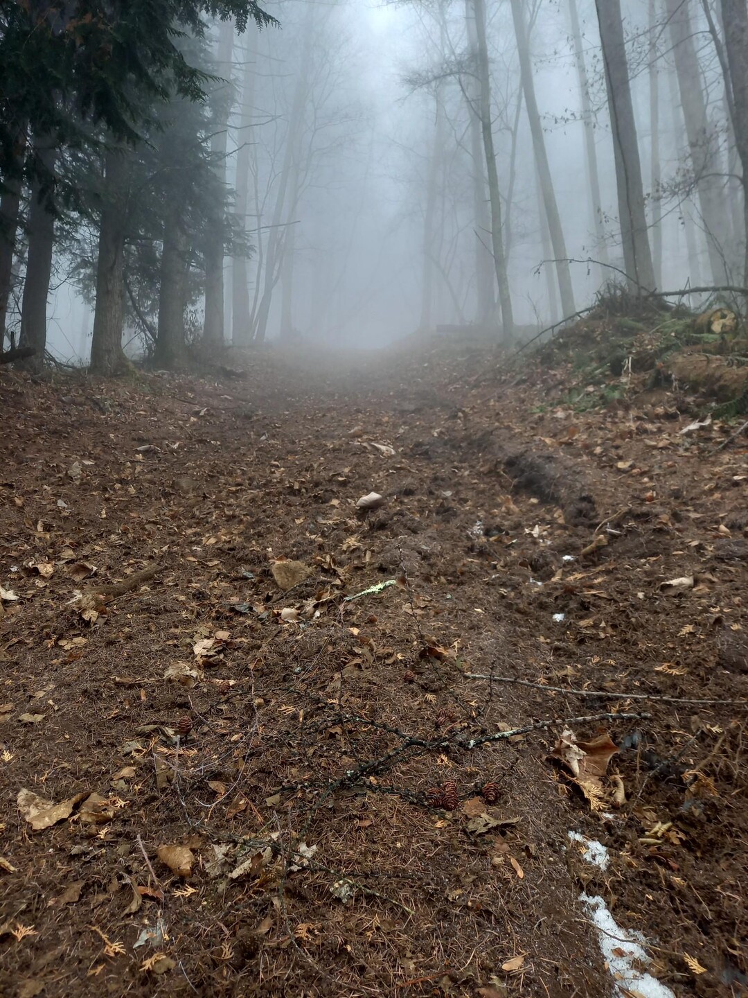 高遠山 1317m / gonさんの松本市の活動データ | YAMAP / ヤマップ