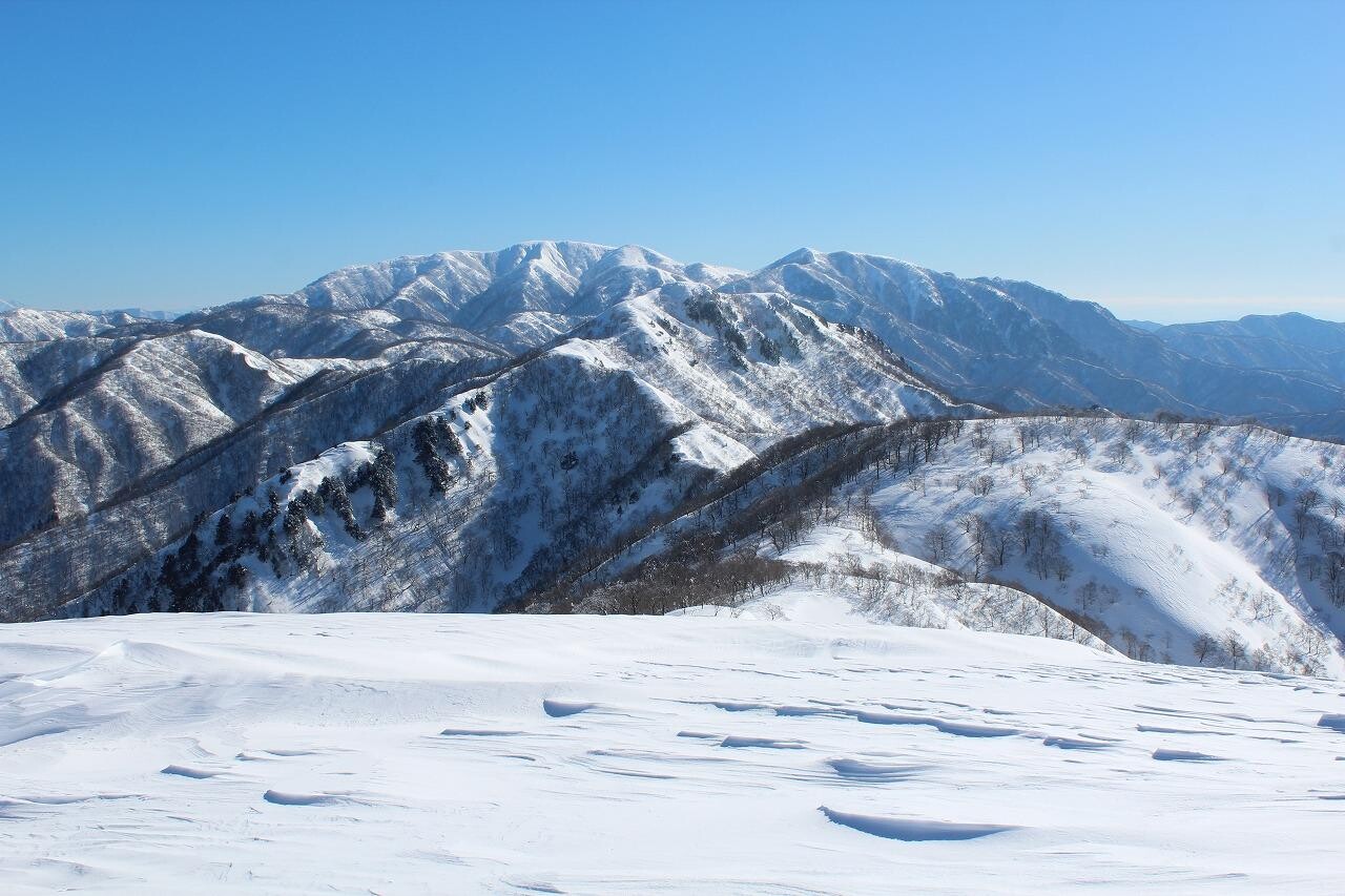 【越美】若丸山 1,285.7m / クロオ🐟さんのウォーキングの活動データ | YAMAP / ヤマップ