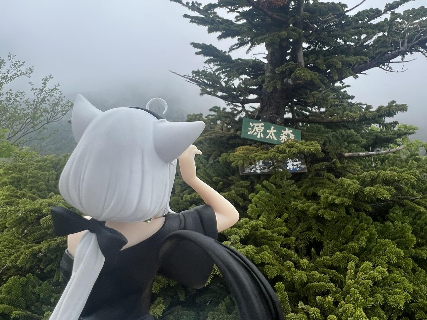 東北旅DAY3 八幡平 / はちマヨ🦈ドカ食い兄ちゃんさんの八幡平・源太森・安比岳の活動日記 | YAMAP / ヤマップ