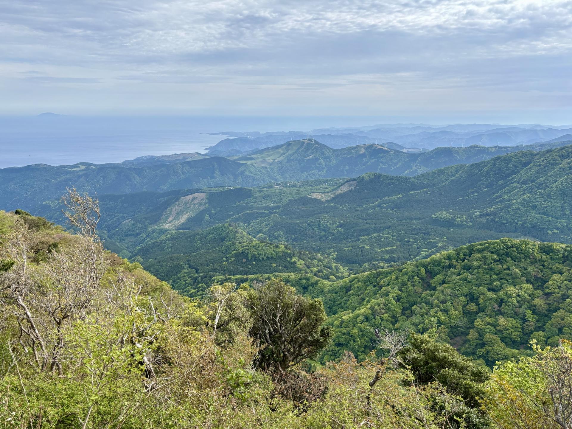 天城縦走 小岳・万三郎岳（天城山）・万二郎岳（天城山） / Pelliotさんの天城山・鉢ノ山・三筋山の活動データ | YAMAP / ヤマップ