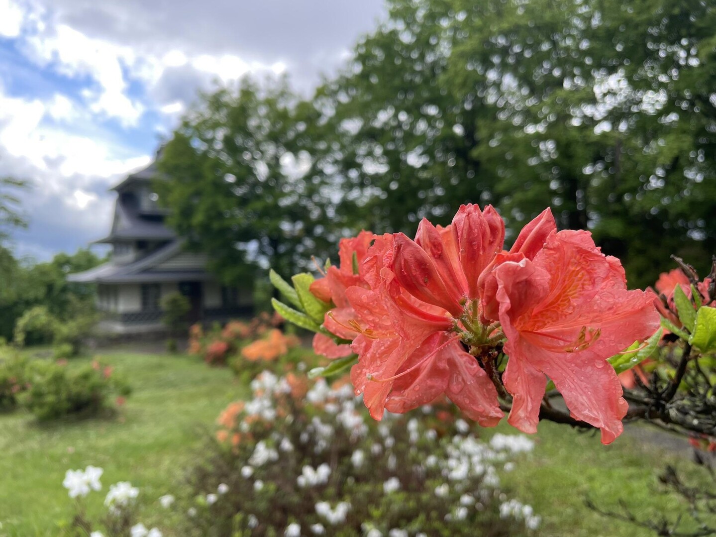 岐登牛山 / Benさんの岐登牛山の活動データ | YAMAP / ヤマップ