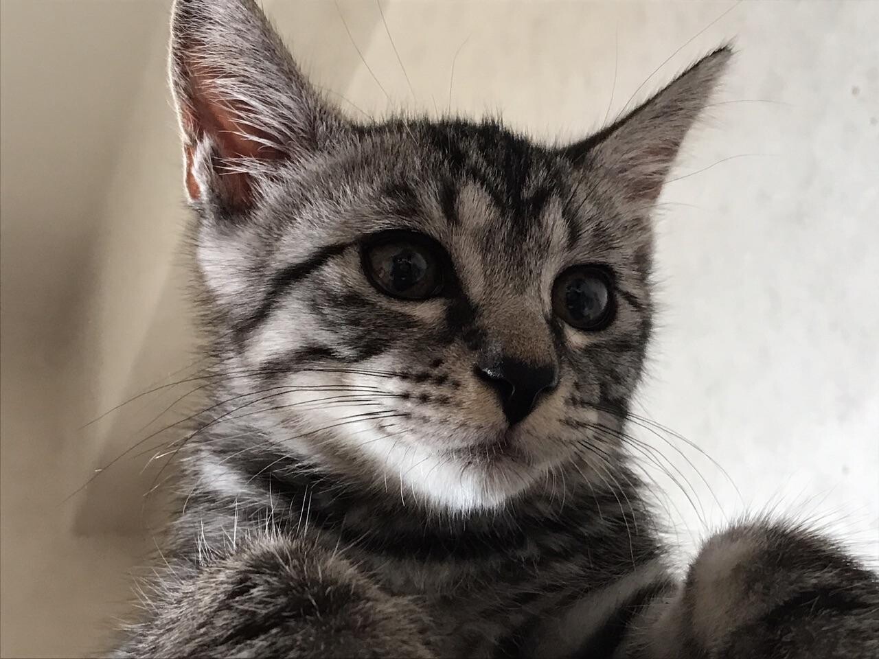 ヤー\(^o^)／のページ | YAMAP / ヤマップ