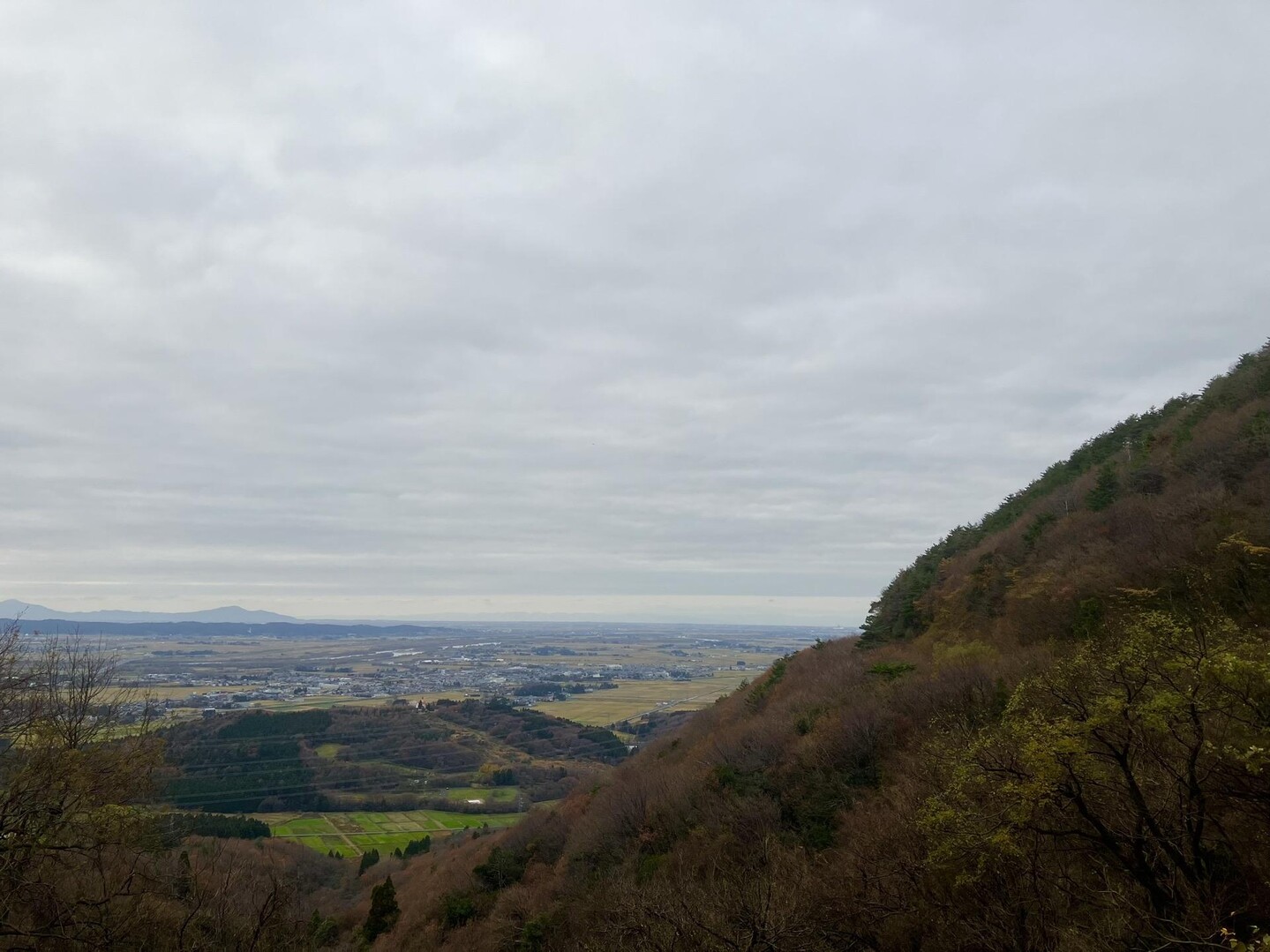 峠deラントレ⛰️🏃‍♂️ ︎赤松山 / Naluさんの五頭山・菱ヶ岳・宝珠山の活動データ | YAMAP / ヤマップ