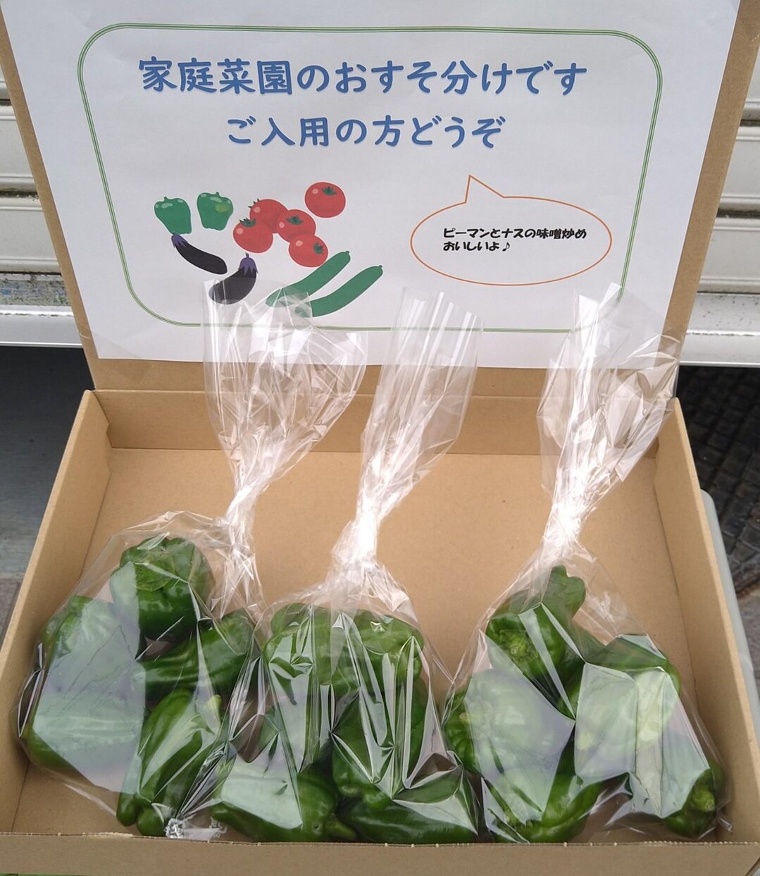 我が家で消費しきれない🫑を家の前に置い... / はなままさんのモーメント | YAMAP / ヤマップ