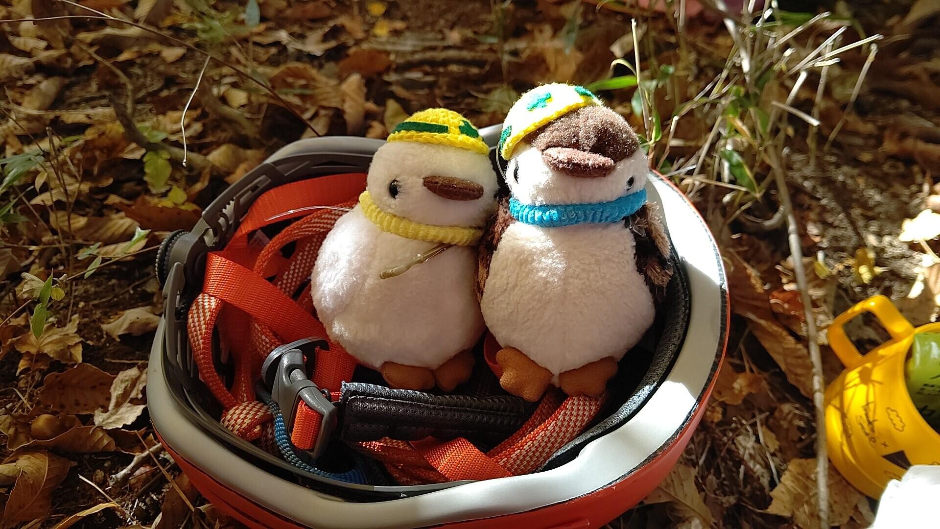 カンバ沢ノ頭・羽根子山・高川山 / *yukapico**さんの高川山の活動データ | YAMAP / ヤマップ