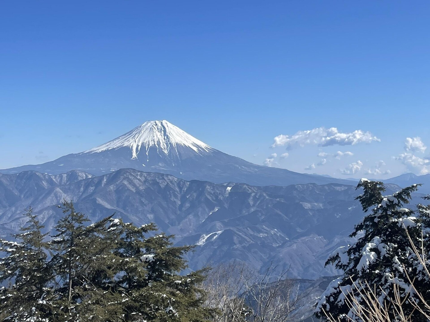 七面山・希望峰 / Thrillerさんの七面山・身延山の活動データ | YAMAP / ヤマップ