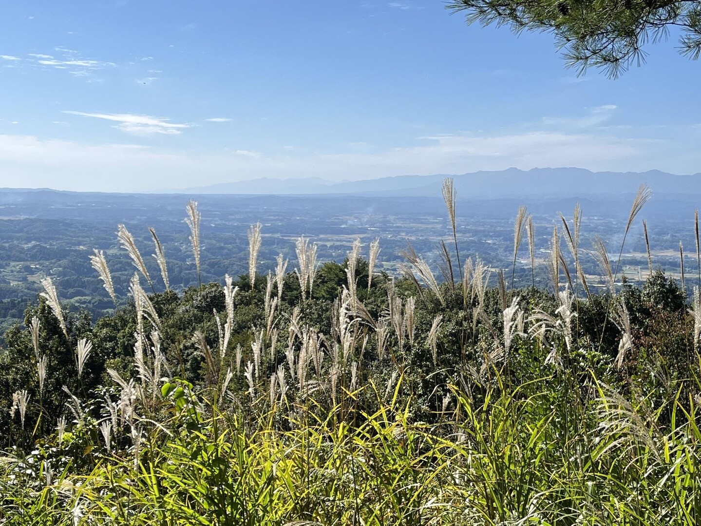 西音森山・宇津峰 / haruruさんの宇津峰山（宇津峰）の活動データ | YAMAP / ヤマップ