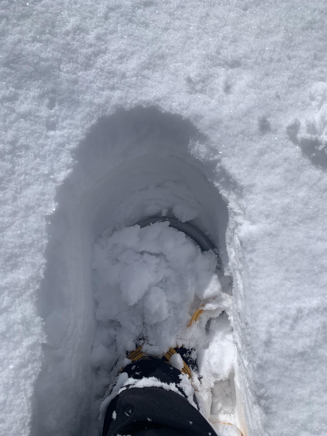 荒島岳目指して深谷ノ頭まで鬼ラッセル / shintaさんの荒島岳の活動データ | YAMAP / ヤマップ