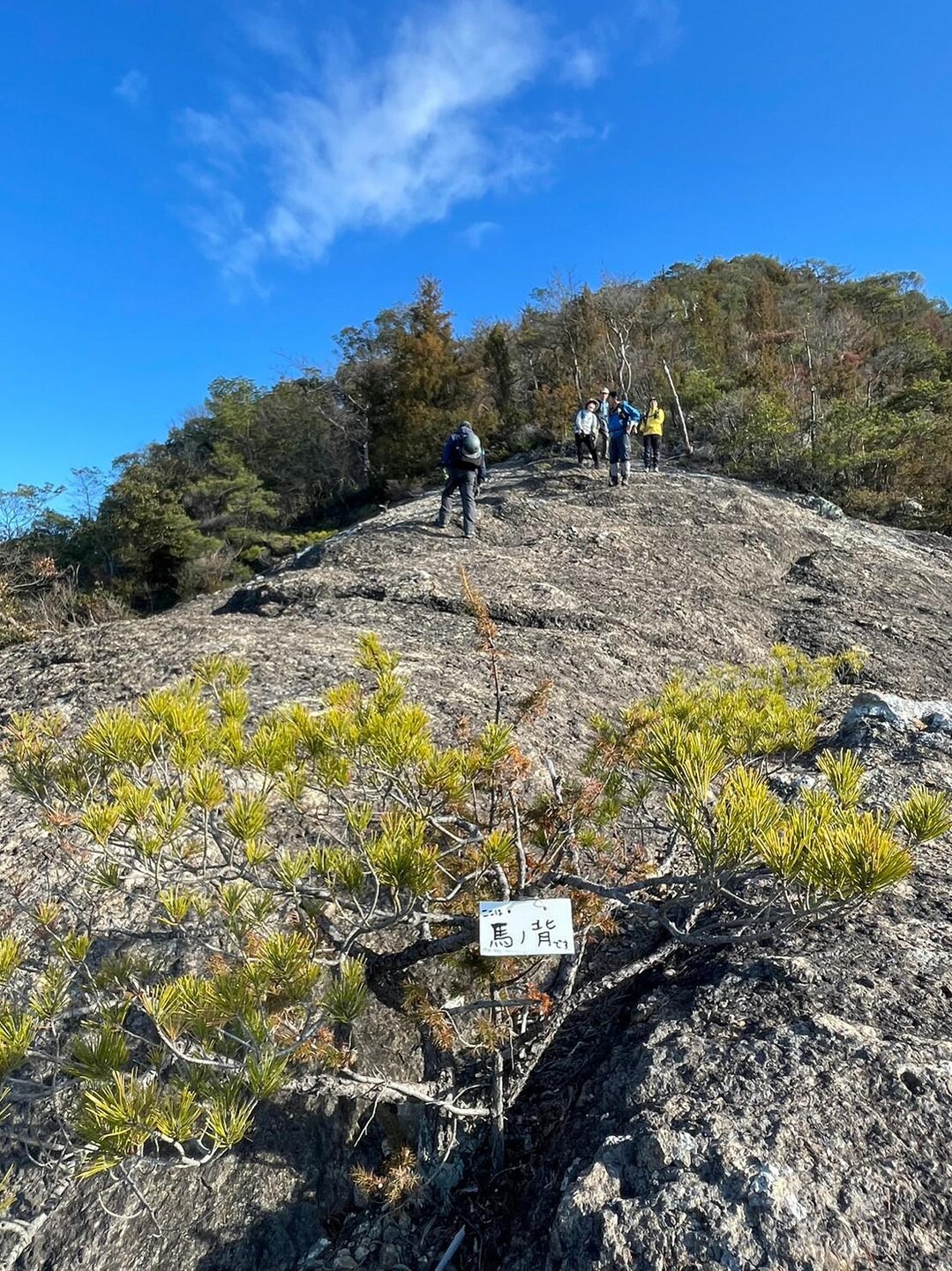 X'mas🎄 わいわい登山 ️ / yuming☆さんの和気アルプス・和気富士・神ノ上山の活動データ | YAMAP / ヤマップ