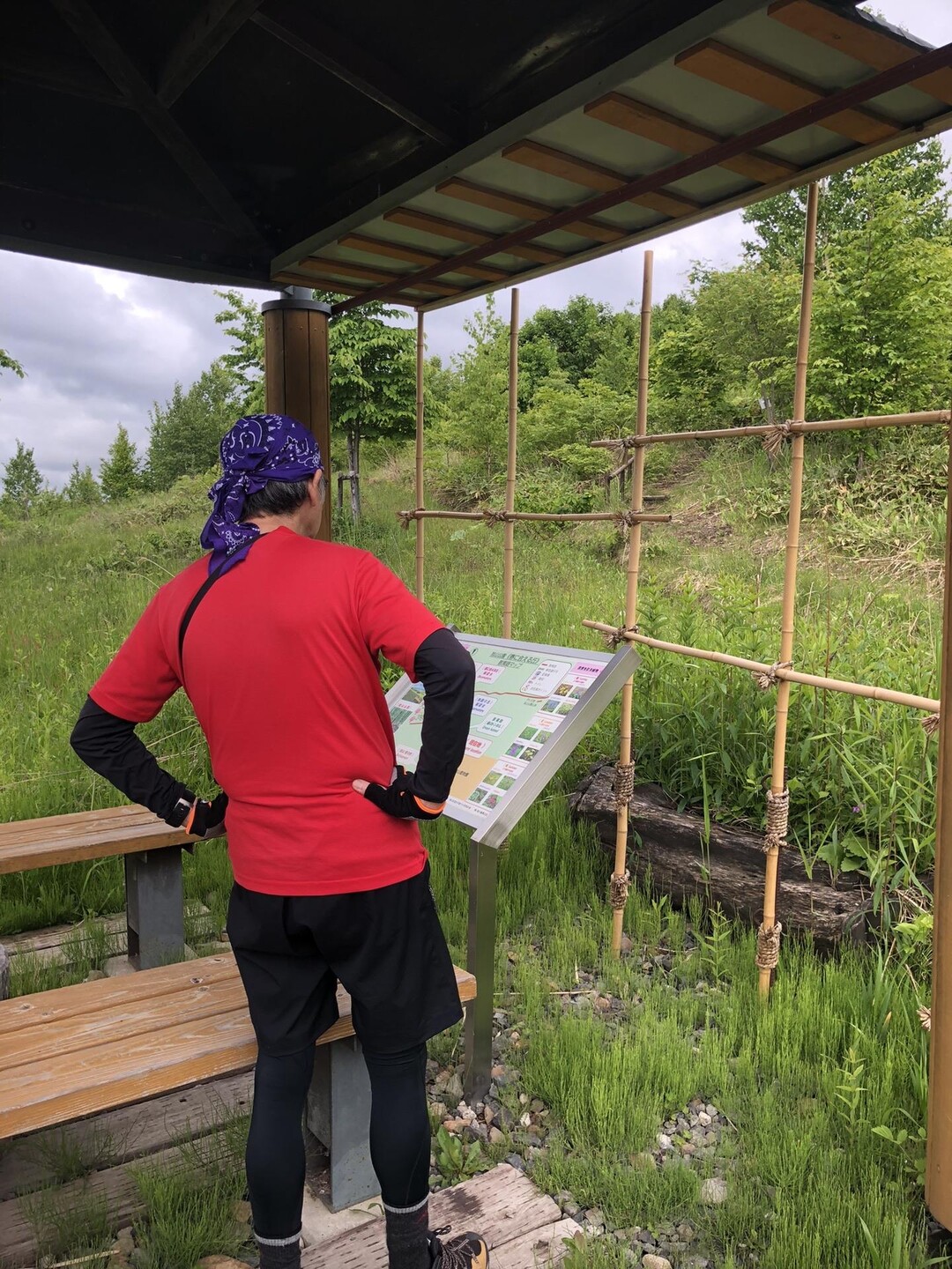 旭山 / taikaと銀子さんの旭山の活動データ | YAMAP / ヤマップ