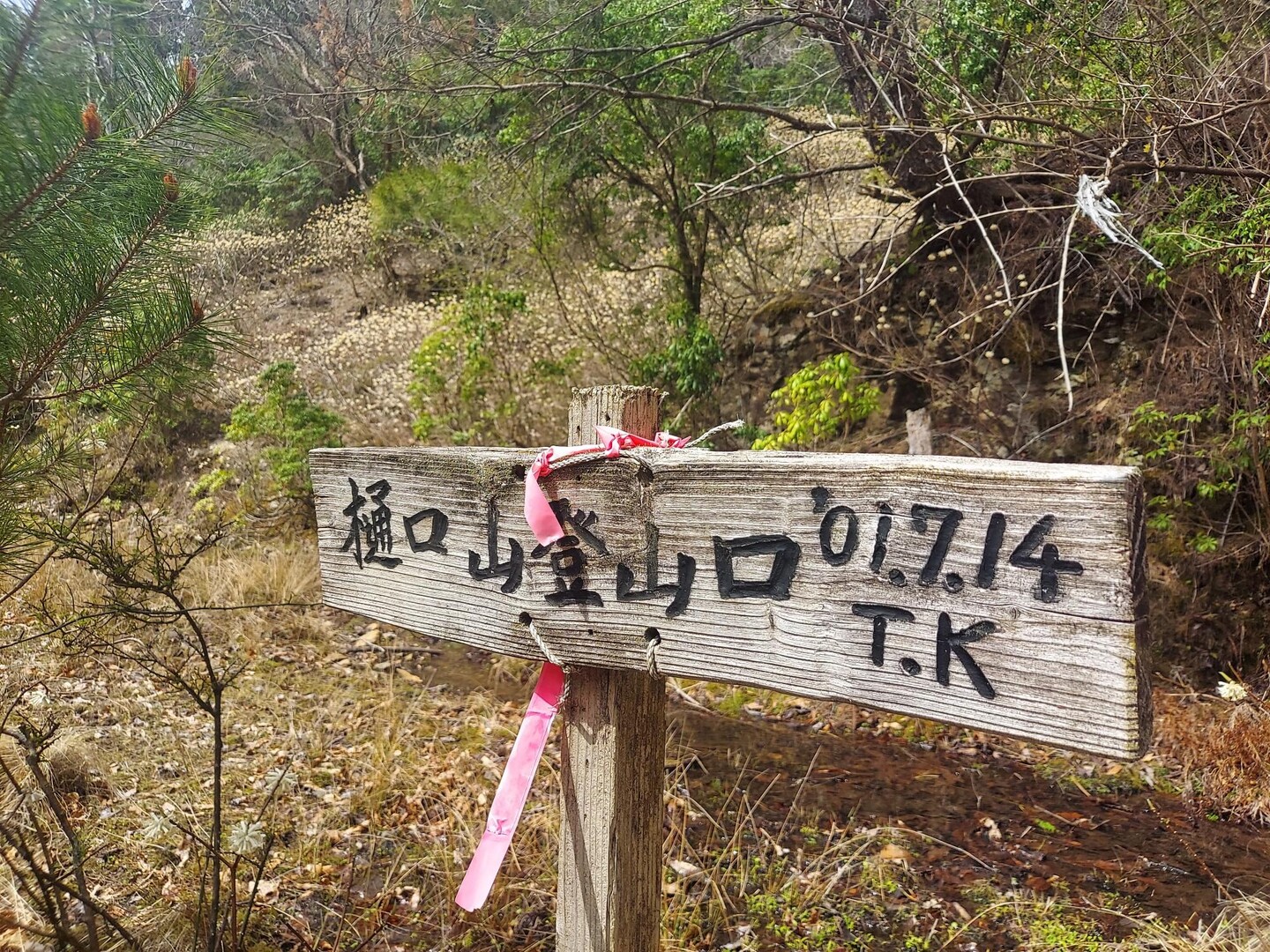 西都市最高峰 樋口山🌸 / derainandreさんの石堂山・樋口山の活動データ | YAMAP / ヤマップ