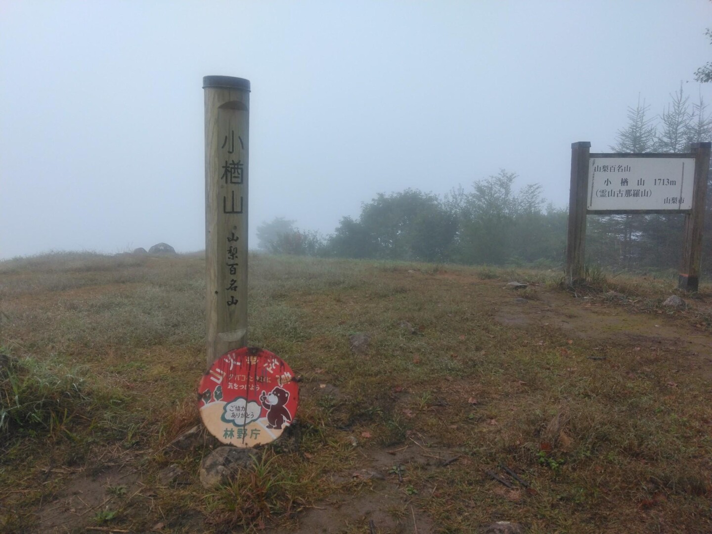 やまなし県央 2024「山」小樽山 棚根入ノ頭 / Pi-tan🐥さんの小楢山・妙見山・乙女高原の活動データ | YAMAP / ヤマップ