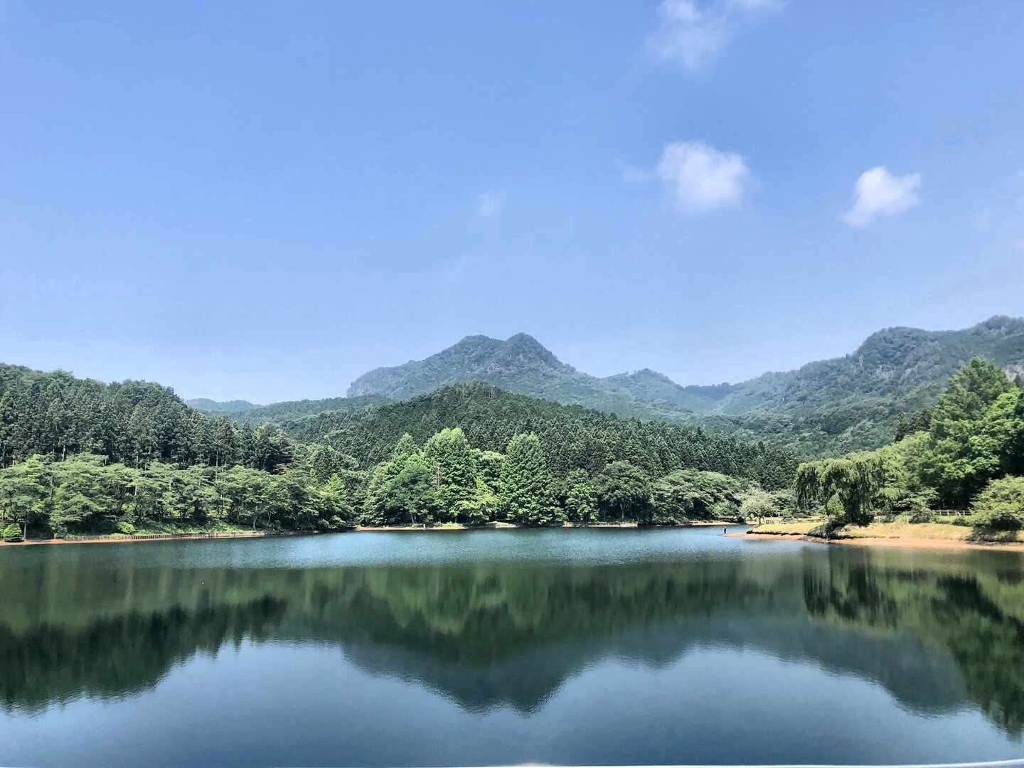 ☆Father's Day in 古賀志山 / PANAPPさんの古賀志山・赤岩山・鞍掛山・男抱山・半蔵山の活動日記 | YAMAP / ヤマップ