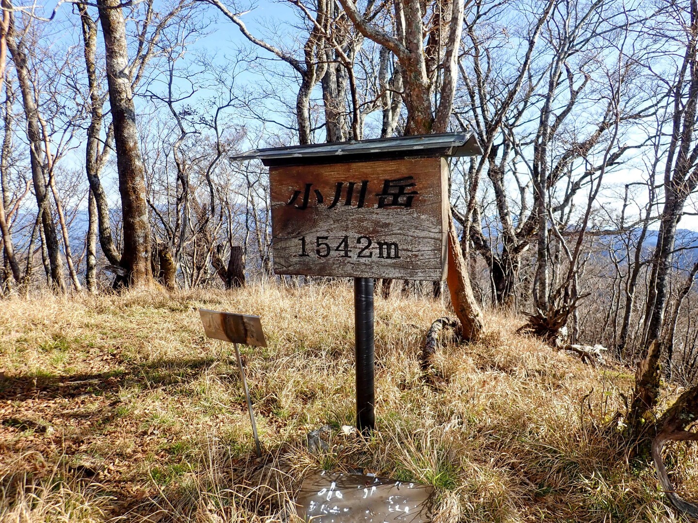 トンギリ山・小川岳 R6.11.20 / かわとんぼさんの向坂山・三方山・天主山の活動データ | YAMAP / ヤマップ