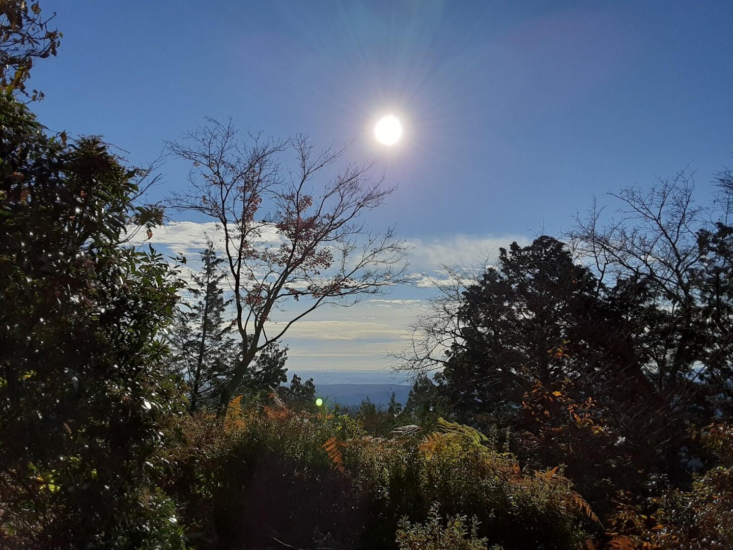 高水三山・利き酒 / Kyuri_EXさんの棒ノ折山（棒ノ嶺）の活動データ | YAMAP / ヤマップ