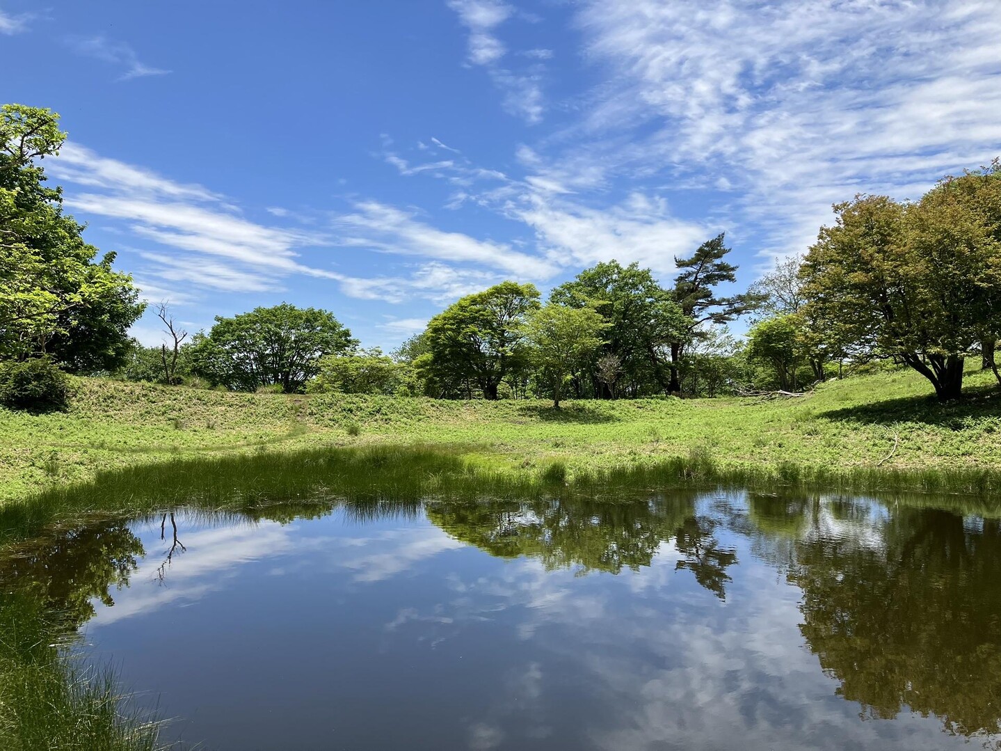 赤ゾレ山・国見山・水無山・明神平 / m-sakaさんの桧塚奥峰・明神岳・薊岳の活動データ | YAMAP / ヤマップ