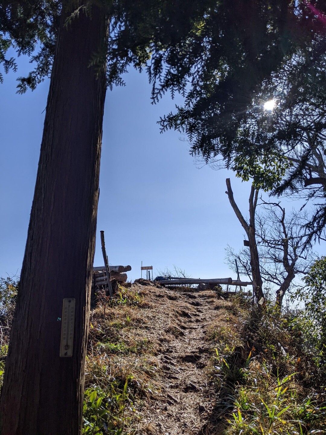 朝鮮岩と久能山 / AWA-MANさんの焼津アルプス（高草山・満観峰・花沢山）・徳願寺山の活動データ | YAMAP / ヤマップ