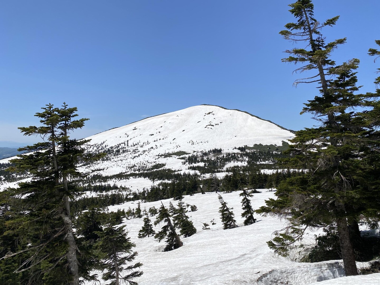 南八甲田櫛ヶ峯 シーズンラスト / ko_daiさんの櫛ヶ峯（上岳）・駒ヶ峯・乗鞍岳の活動データ | YAMAP / ヤマップ