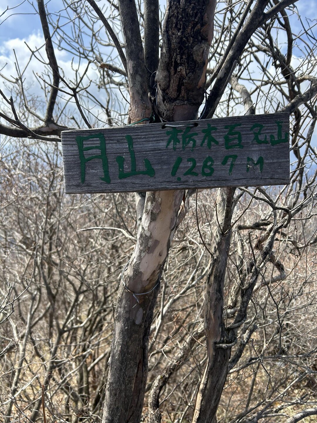 月山 / yuu39さんの月山・毘沙門山の活動データ | YAMAP / ヤマップ