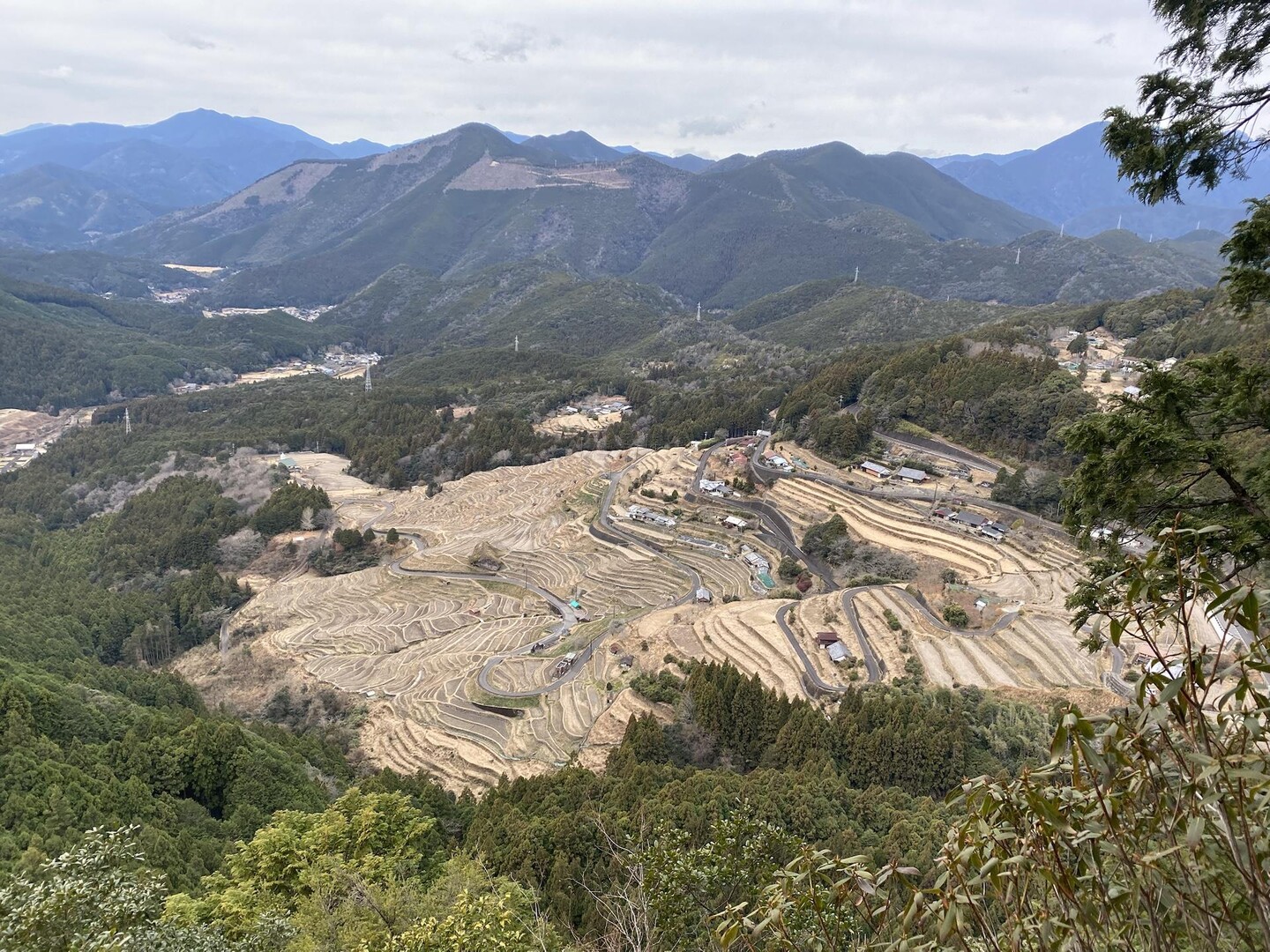 熊野古道 伊勢路⑤-2025-01-12丸山千枚田 / rinpeさんの熊野古道 伊勢路⑤の活動データ | YAMAP / ヤマップ