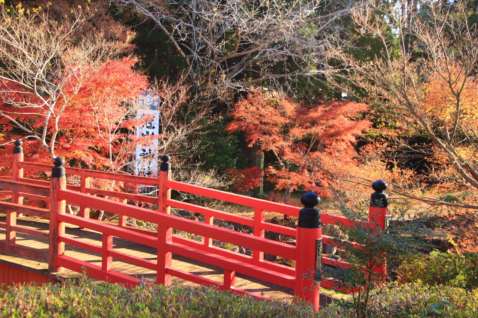 仙人岳・東岳・中岳・材木岳・冠岳(西岳) / MANさんの冠岳の活動データ | YAMAP / ヤマップ