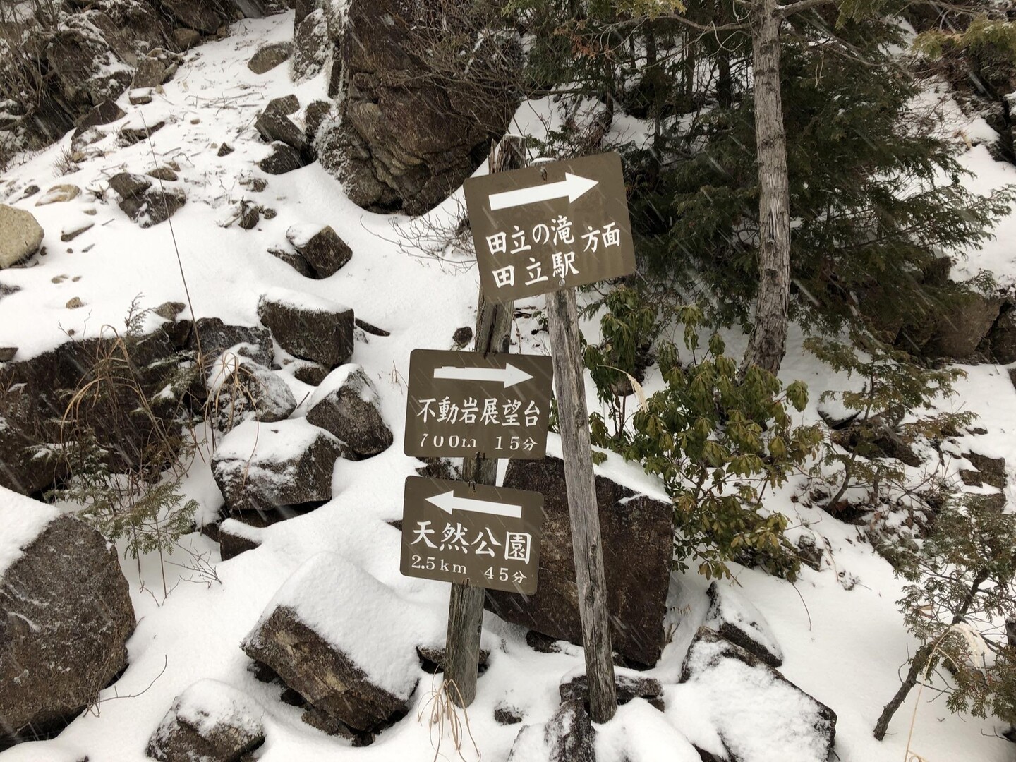 夕森自然公園撤退 / takawestさんの奥三界岳・夕森山の活動データ | YAMAP / ヤマップ