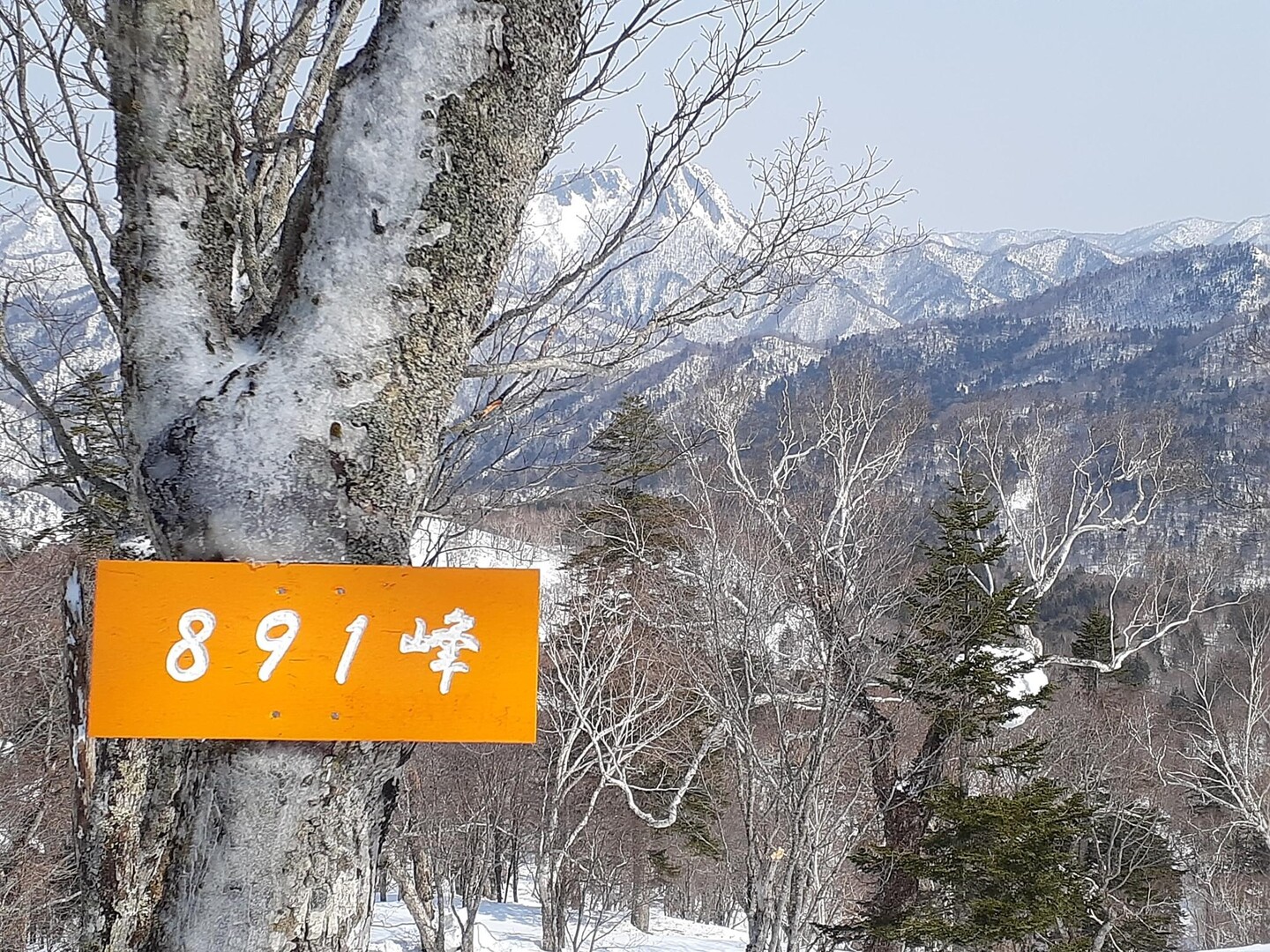 胡桃沢・891峰 / noriGさんの無意根山の活動データ | YAMAP / ヤマップ