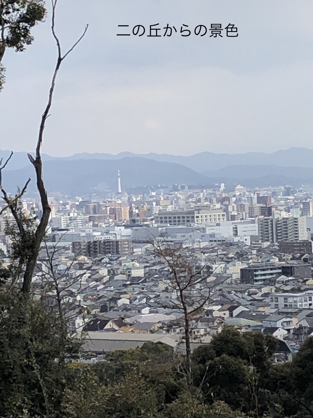 御室八十八ケ所の帰り道にJR花園駅近くの... / 山大好きまっちゃんさんのモーメント | YAMAP / ヤマップ