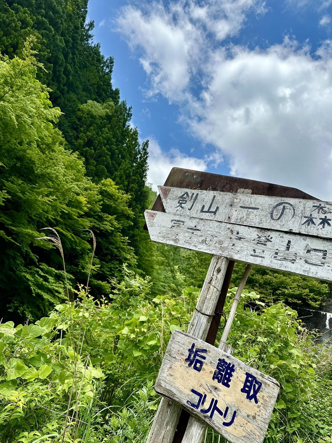 一ノ森 / sa--さんの剣山の活動データ | YAMAP / ヤマップ