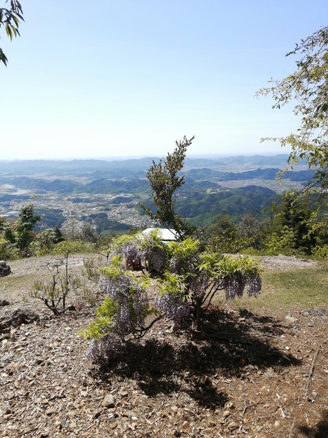 今年初の天王山 / nono-chiさんの天王山・誕生山の活動データ | YAMAP / ヤマップ