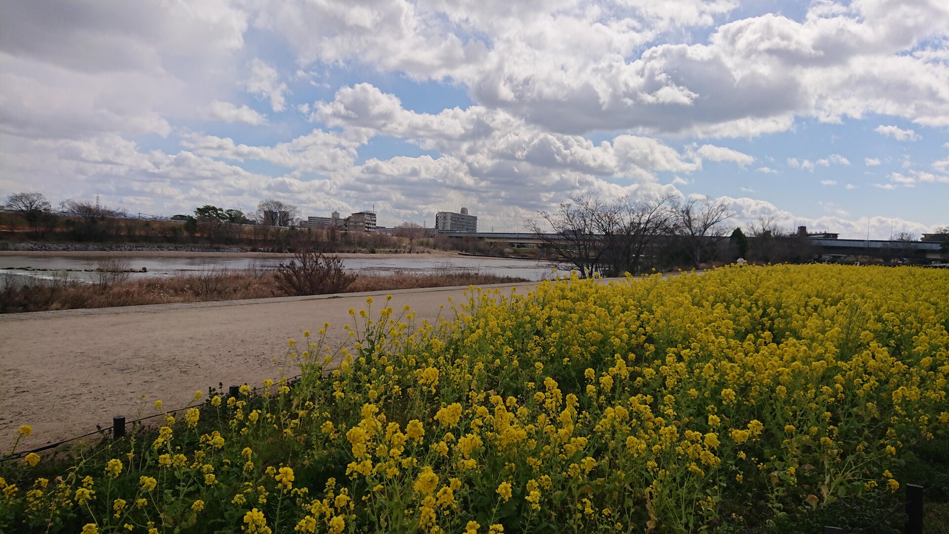 仕事で飛び回っていて、お山はご無沙汰。。... / 登るAIエンジニアCoveさんのモーメント | YAMAP / ヤマップ