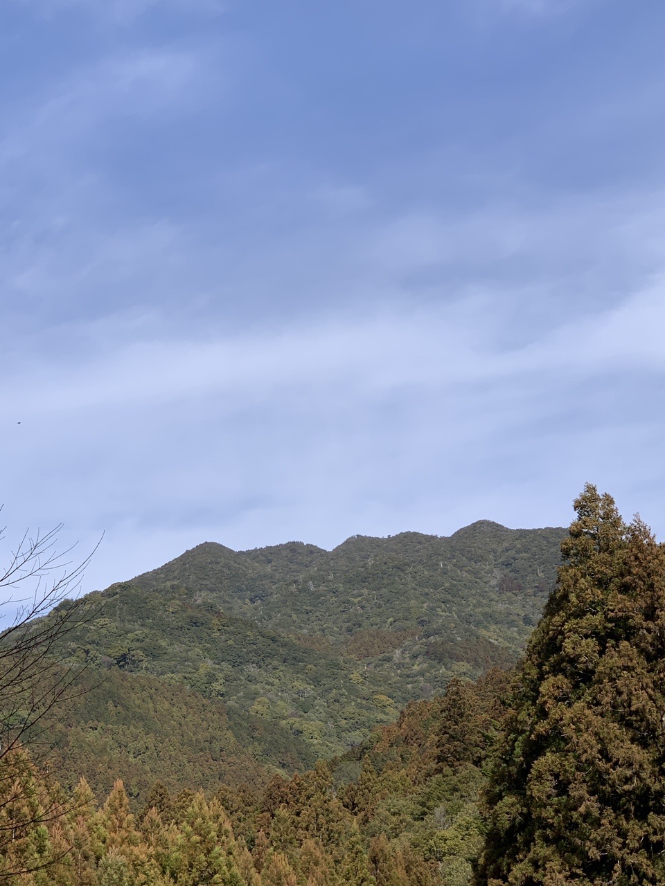 五剣山（徳島） / ta3netさんの五剣山の活動日記 | YAMAP / ヤマップ