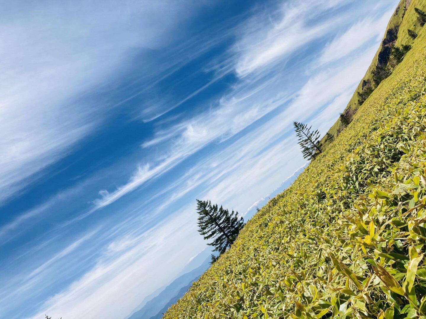四阿山～根子岳 🇺🇳 fascinating blue sky / emio_さんの四阿山・根子岳の活動データ | YAMAP / ヤマップ