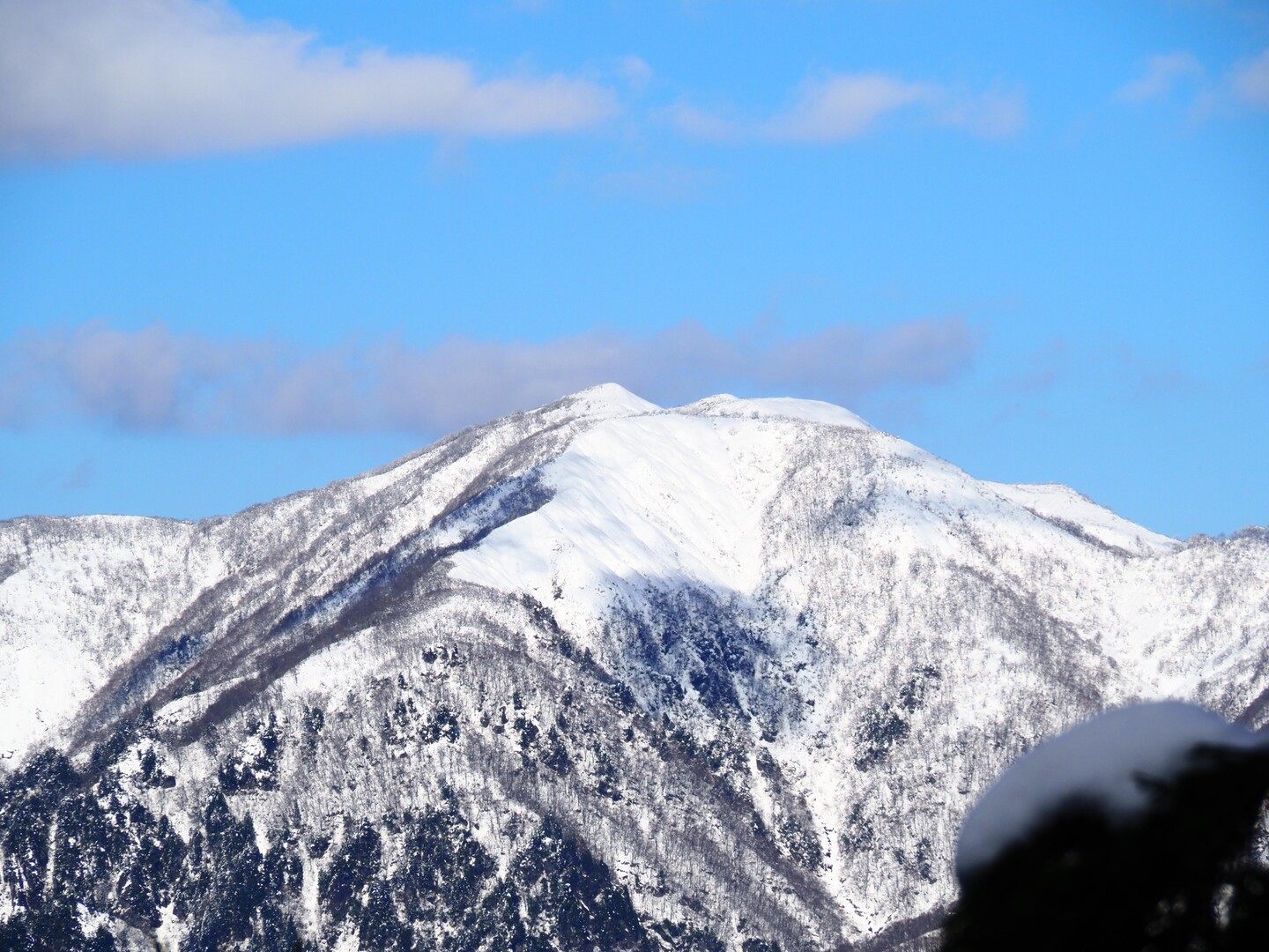 上谷山撤退~六社神社跡宮の展望地 / TJさんの湧谷山・蕎麦粒山・五蛇池山の活動データ | YAMAP / ヤマップ