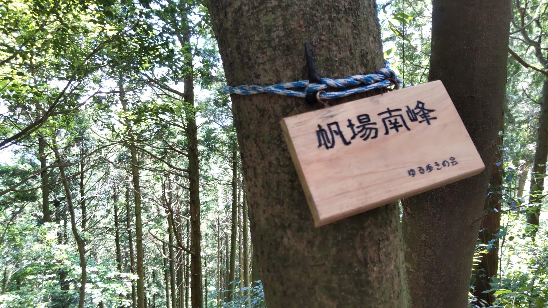 西山古道から帆場岳 不動原 / issaさんの金比羅山・烽火山・英彦山の活動データ | YAMAP / ヤマップ