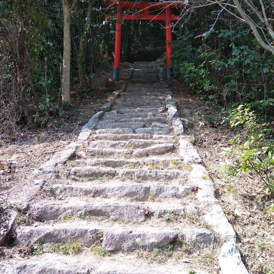 やっとの水瓶山からのやっとの四王寺山の〇 / solさんの四王寺山・大城山・大原山の活動データ | YAMAP / ヤマップ