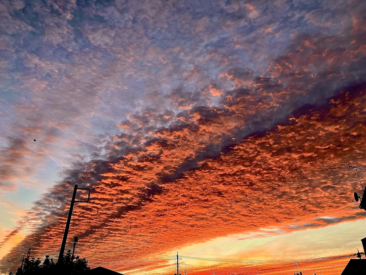 あまりにも綺麗な夕焼けだったのでパシャリ... / wirryさんのモーメント | YAMAP / ヤマップ