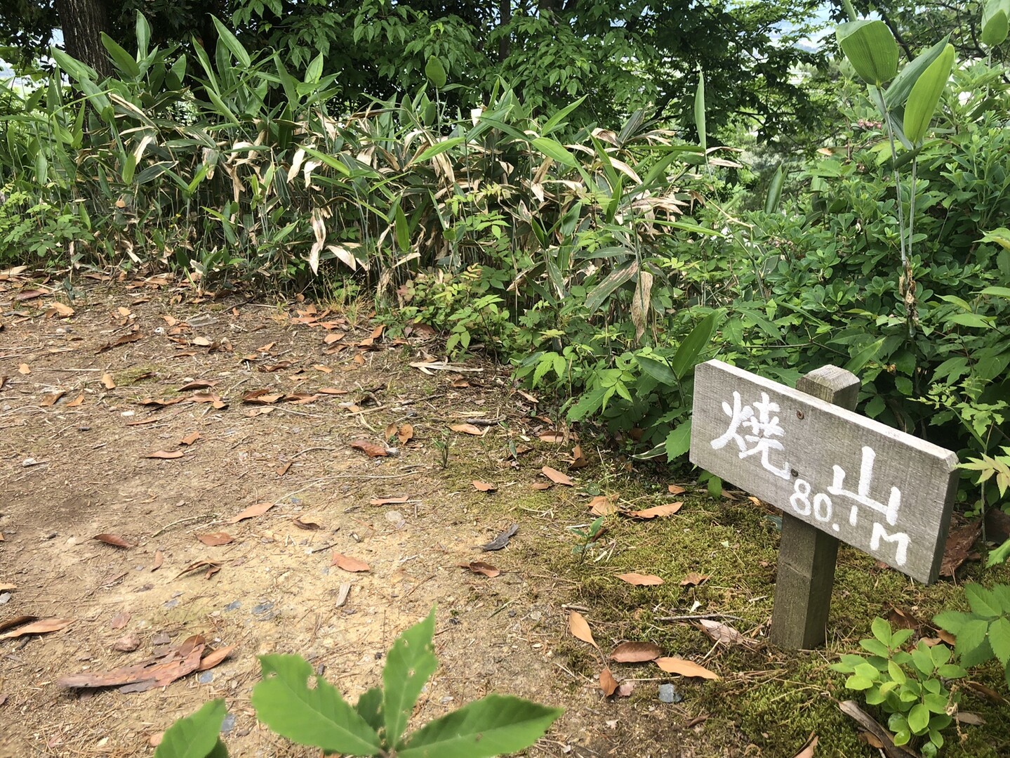 JJさんの投稿したフィールドメモ | YAMAP / ヤマップ