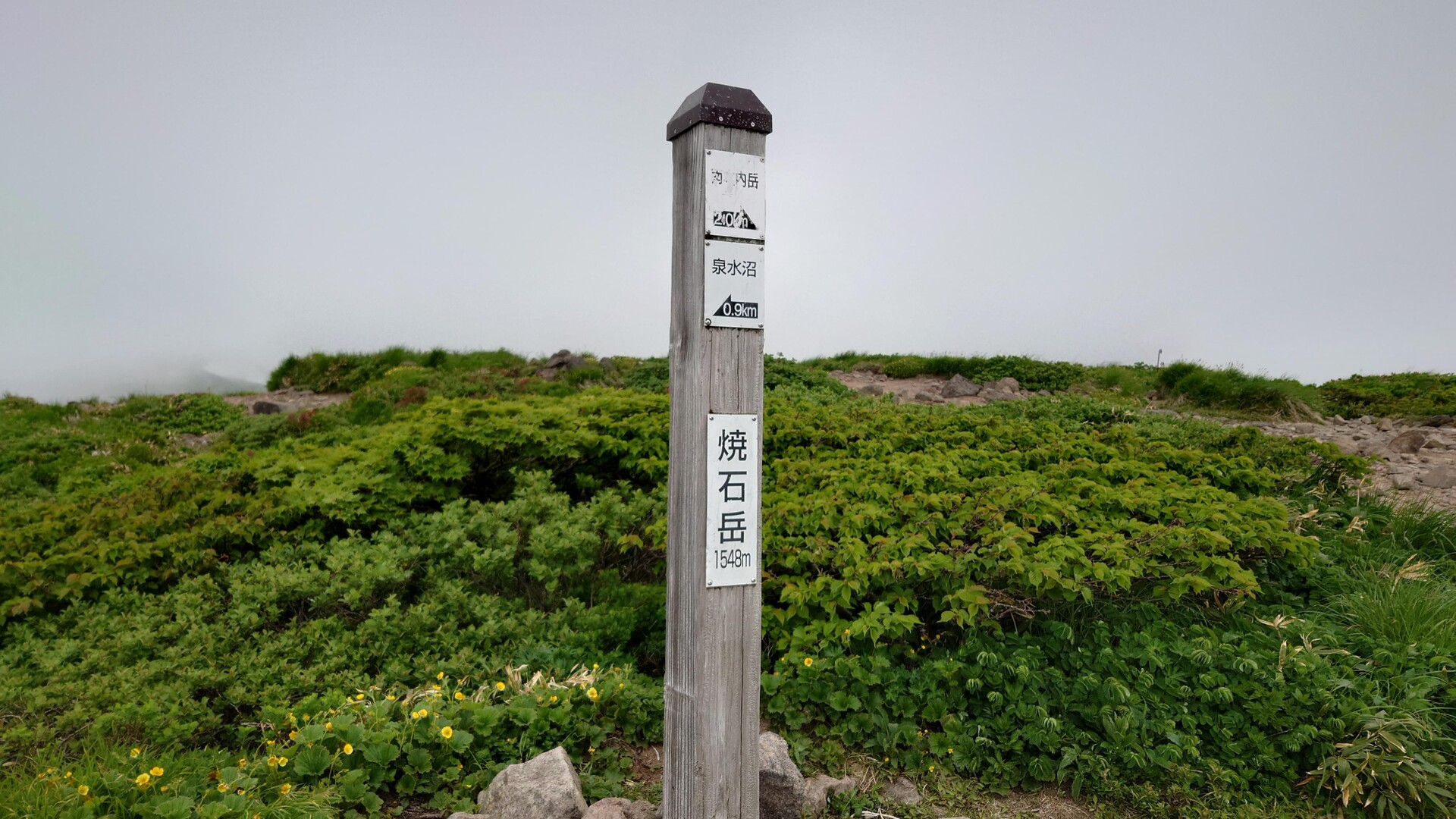 東北遠征③座目 焼石岳 / hem2さんの焼石岳・兎森山・鷲ヶ森山の活動データ | YAMAP / ヤマップ
