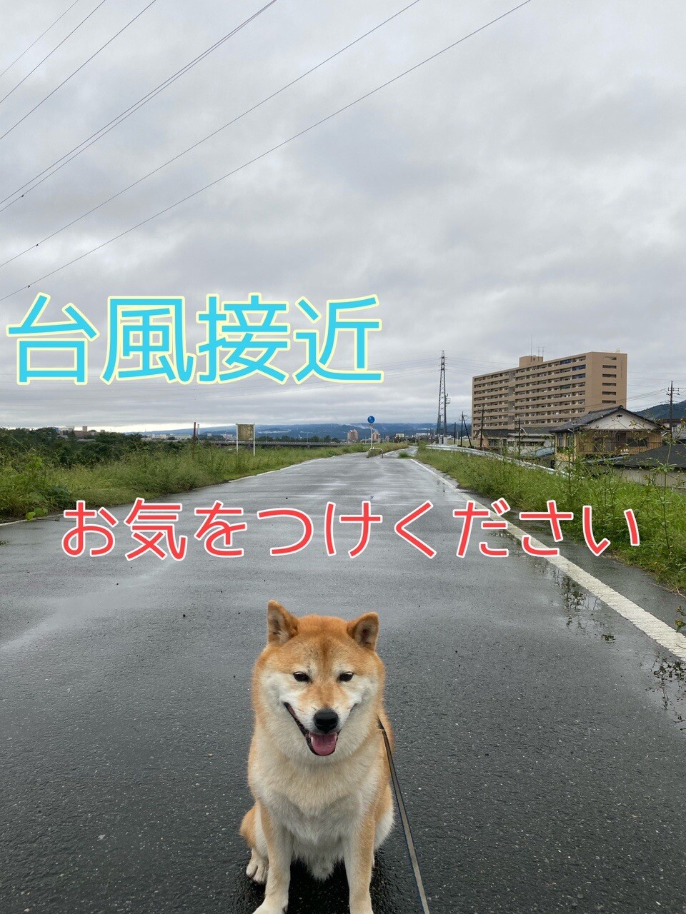 群馬県は台風の影響で ☁️☔️どんよりし... / Hideyan🐶さんのモーメント | YAMAP / ヤマップ