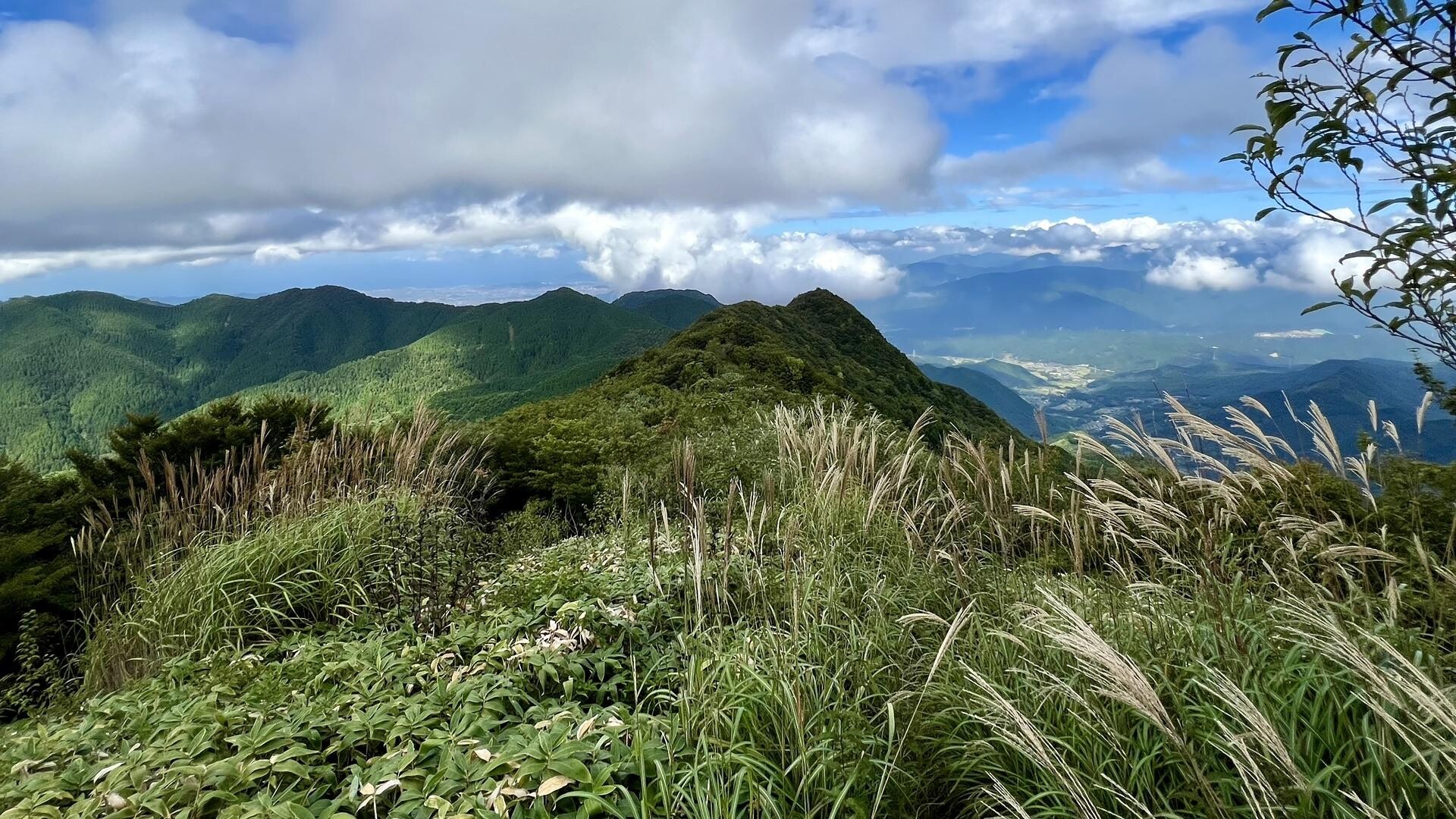 石墨山 / makotoさんの皿ヶ嶺・梅ヶ谷山・うなめごの活動データ | YAMAP / ヤマップ